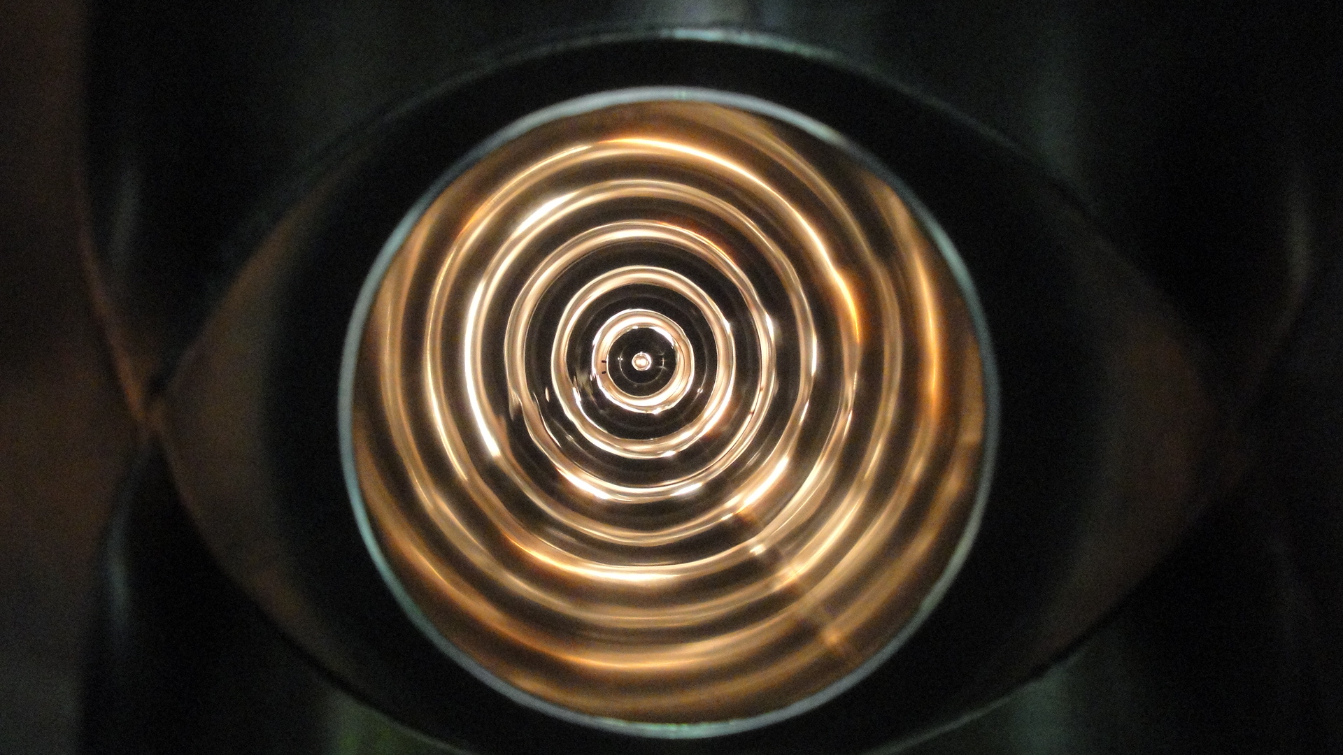 Scientific equipment: photography – Delphine's blog